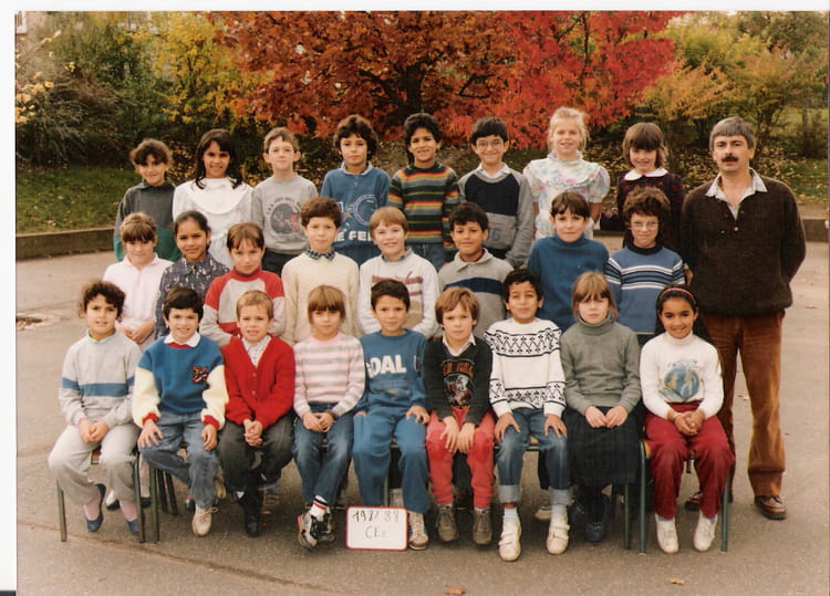 Photo de classe CE2 Bernard Guillemot de 1987, ECOLE JULES MICHELET ...