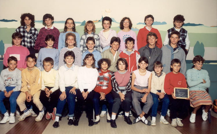 Photo de classe 5°C de 1985, Collège Les Sources - Copains d'avant