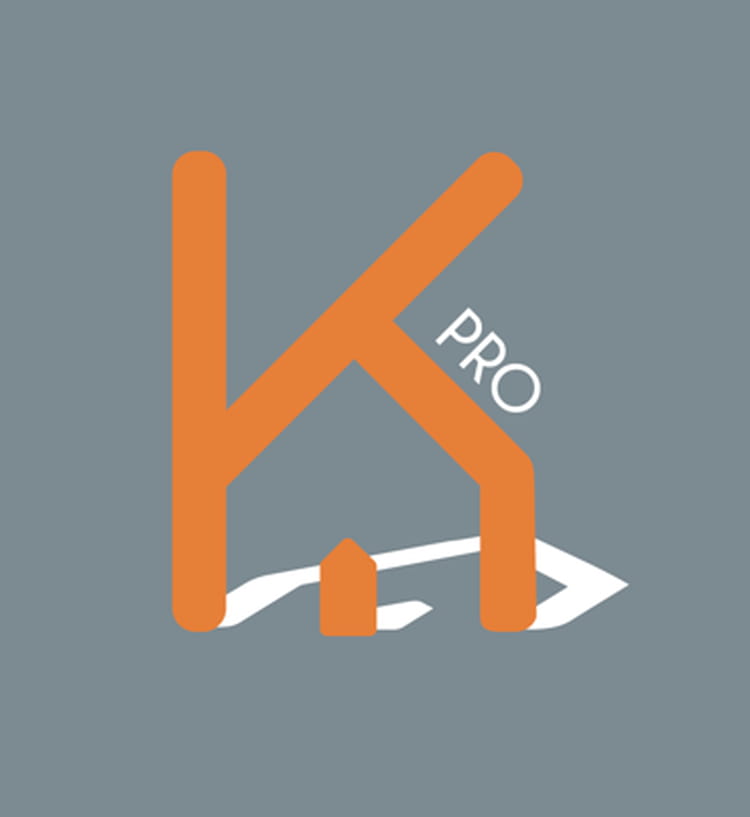 Photo de classe Logo de l'établissement 'K.pro Consulting' de 2020, K ...