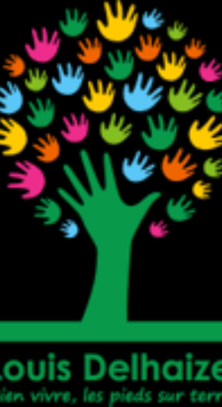 Photo de classe Logo de l'établissement 'GROUPE LOUIS DELHAIZE' de 2023 ...
