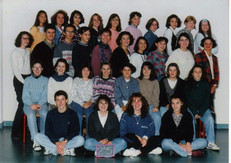 Photo de classe Seconde 5 de 1994, Lycée Emile Roux - Copains d'avant