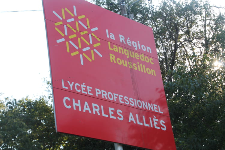 Photo de classe Le panneau de 2013, Lycée Professionnel Charles Allies ...