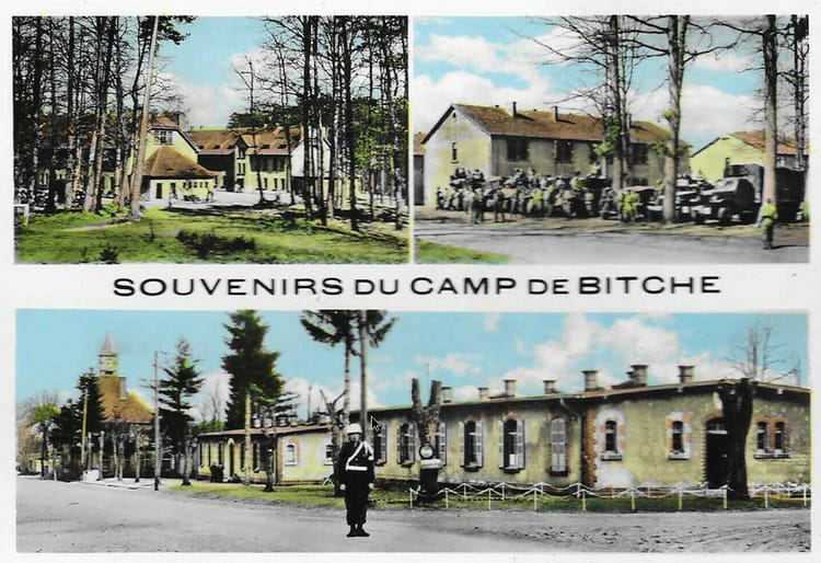 Photo de classe Bitche Camp de 1984, 43 Rt Camp De Bitche - Copains d'avant