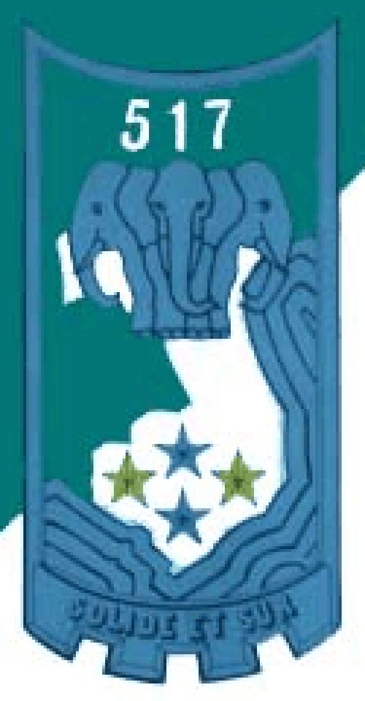 Photo de classe Insigne du 17è RT de 1982, 517ème Rég Du Train ...